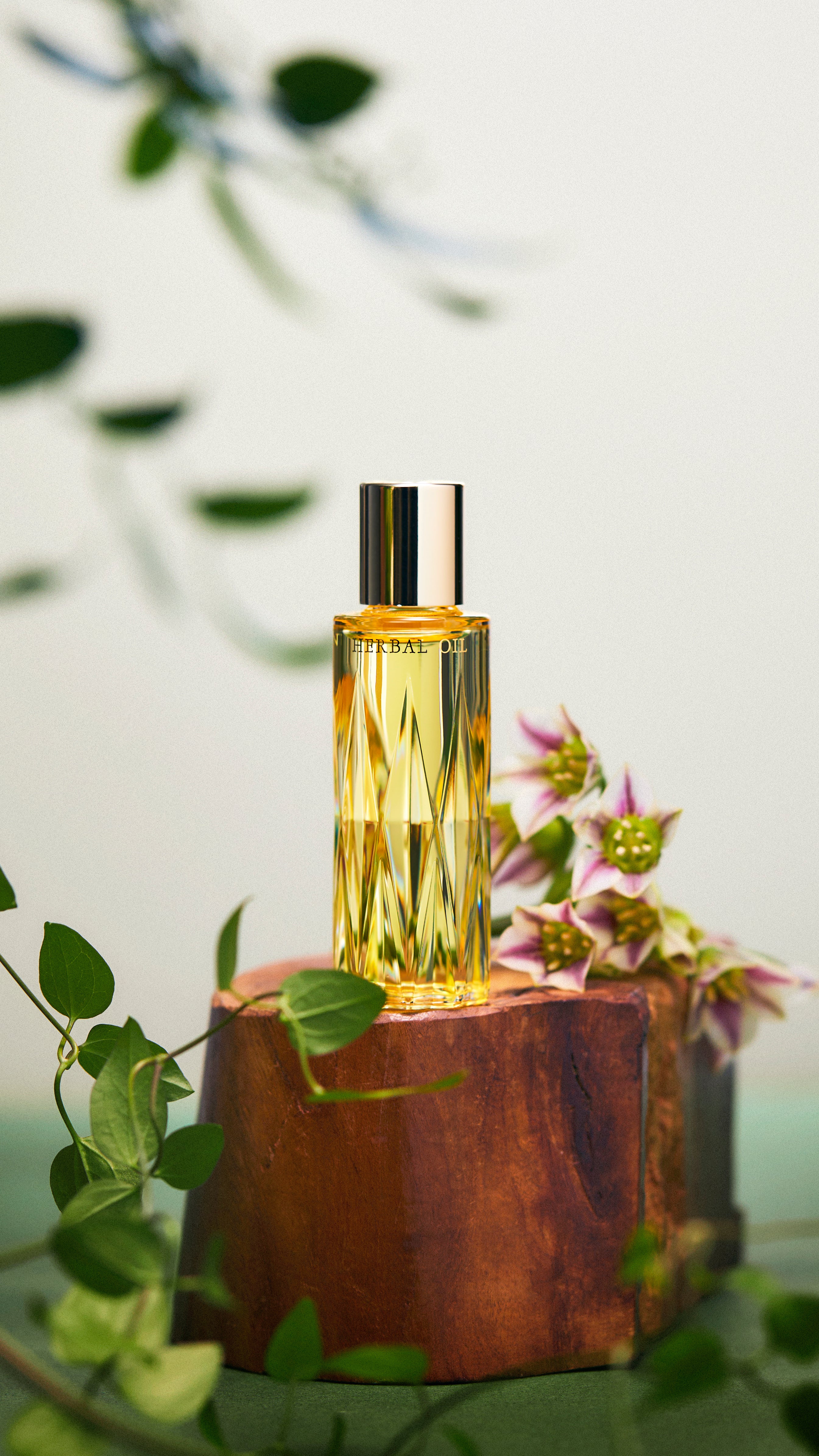 Get Your Skin Ready for Fall with J-Beauty Tips from ALBION – Albion Garden