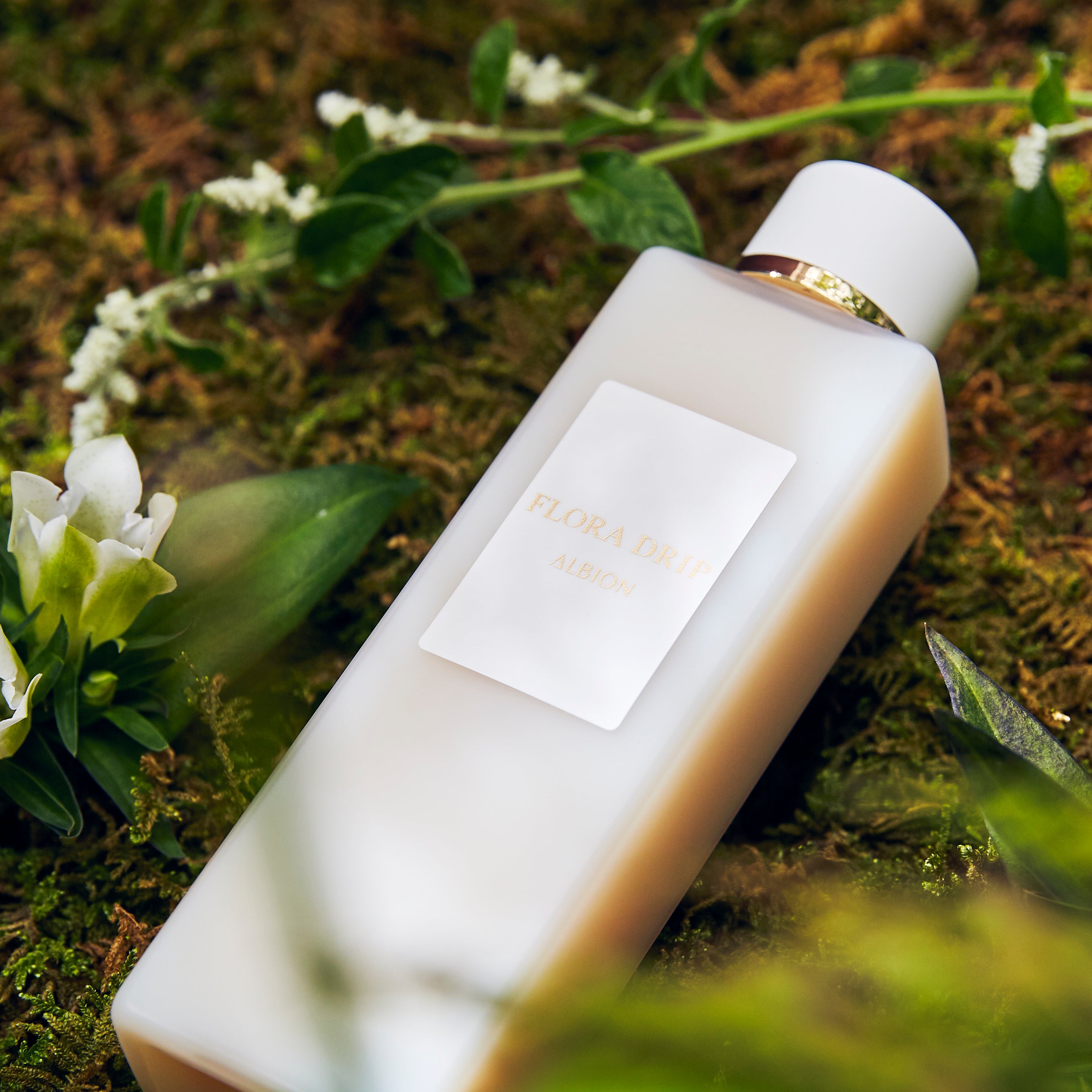 Celebrate the Otsukimi Festival with ALBION Flora Drip – Albion Garden